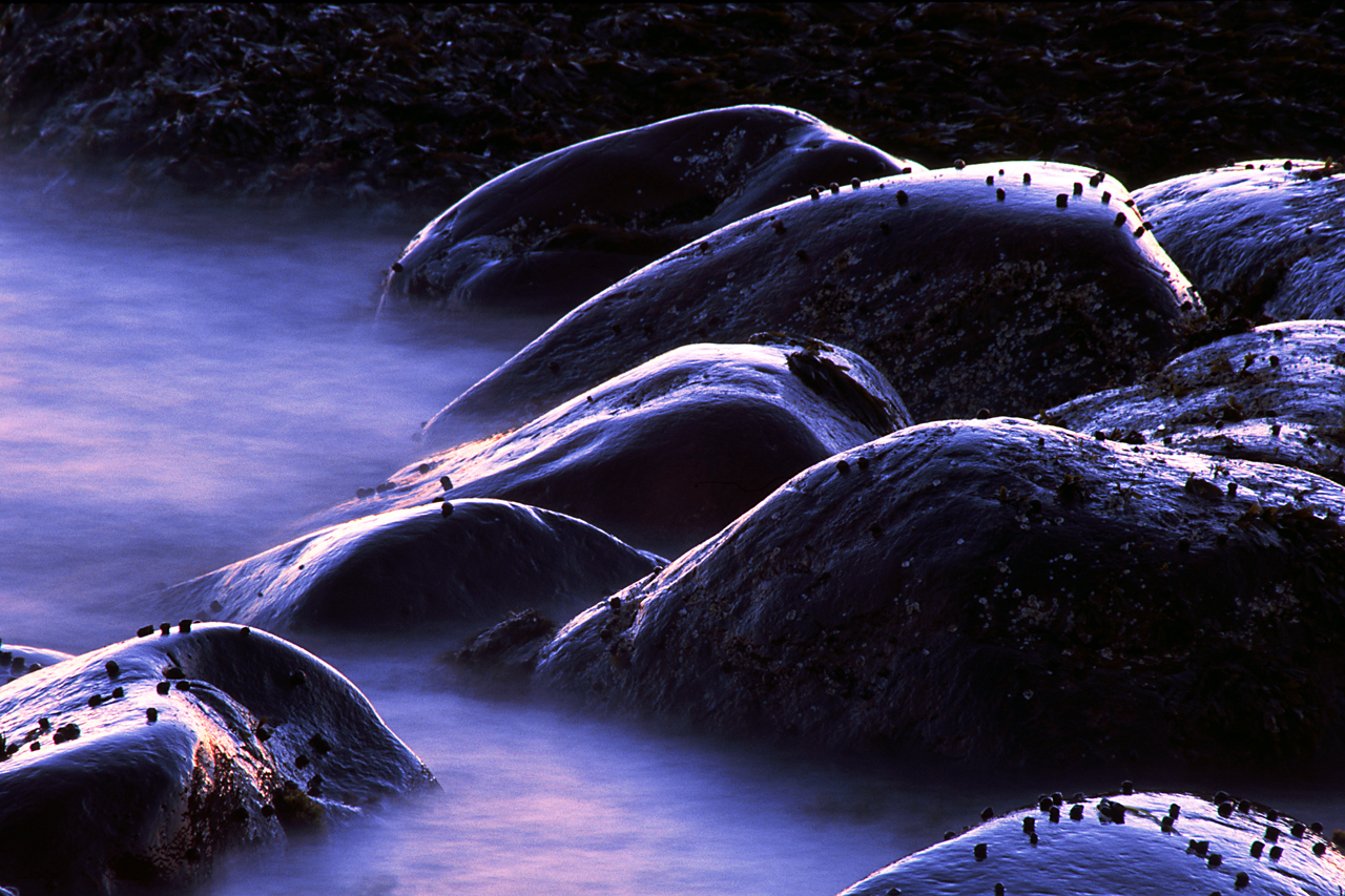 Newfoundland - Richard Martin Photography